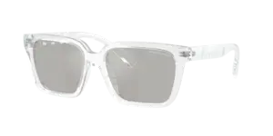 Armani Exchange Armani Exchange Sunglasses Light Grey Flash Silver