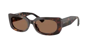 JIMMY CHOO Sunglasses - Dark Brown