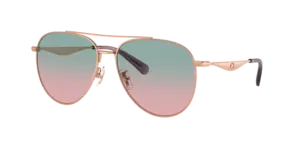 COACH Hc7169 Sunglasses - Forest Grape Gradient