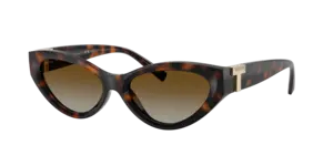 Tiffany & Co. Sunglasses Polarized Brown Gradient