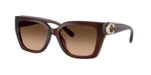 COACH Sunglasses - Brown Gradient