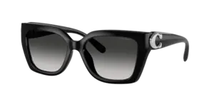 COACH Sunglasses - Grey Gradient
