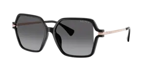 Gradient Grey (polarized Gradient Grey)