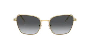 SWAROVSKI Sunglasses - Gradient Grey Polarized