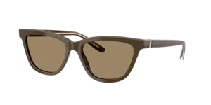 Giorgio Armani Sunglasses - Brown