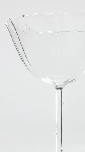 SOPHIE LOU JACOBSEN Cosmo Coupe Glass Set