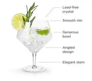 VISKI Angled Crystal Gin & Tonic Glasses