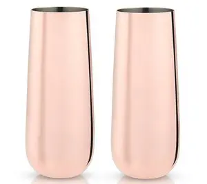 VISKI Set Of 2 Copper Stemless Champagne Flutes - One-color