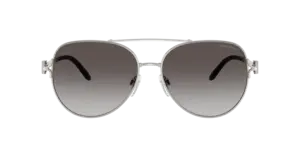 Ralph Lauren Sunglasses - Gradient Grey