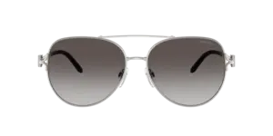 Ralph Lauren Sunglasses - Gradient Grey