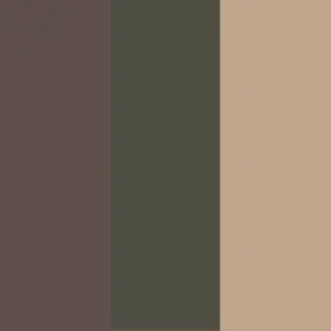 SUQQU 3d Control Eyebrow Palette - Brown
