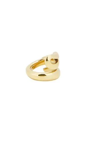 Jenny Bird Sees Ring