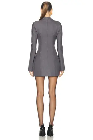 AEXAE Wool Contoured Turtleneck Mini Dress
