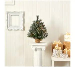 NEARLY NATURAL 2' Frosted Pine Christmas Tree - One-color