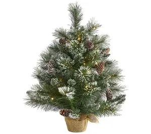 NEARLY NATURAL 2' Frosted Pine Christmas Tree