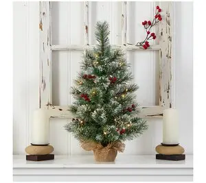 NEARLY NATURAL 2' Snow Tipped Pine And Berry Ch Ristmas Tree - One-color