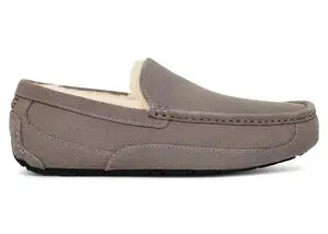 UGG Ascot Slipper - Grey