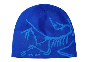 Arc'teryx Arc'teryx Bird Head Toque Beanie Vitality/fluidity