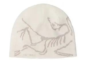 Arc'teryx Arc'teryx Bird Head Toque Beanie Arctic Silk/rune