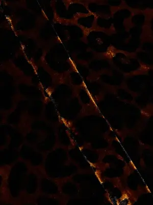 Elie Tahari Heritage The Fiora Leopard Top