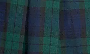 English Factory Plaid Pleated Skort