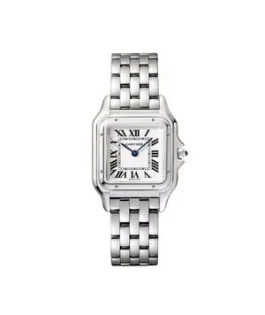 Cartier Panthère De Cartier Watch Medium - Silver