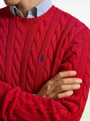 Polo Ralph Lauren Driver Sweater