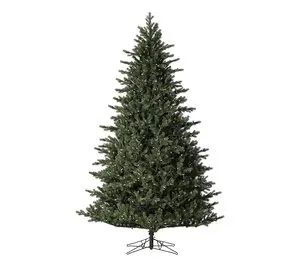 VICKERMAN 8.5' Welch Fraser Fir Artificial Chri Stmas Tree Ww - One-color