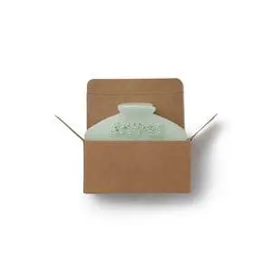 SKIMS Claw Clip Spearmint