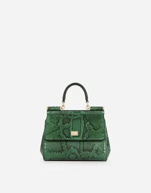 Dolce & Gabbana Medium Sicily Handbag - Green