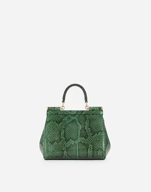 Dolce & Gabbana Medium Sicily Handbag - Green