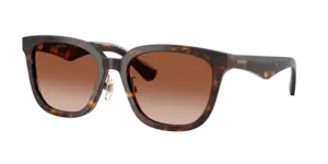 Burberry Sunglasses Brown Gradient