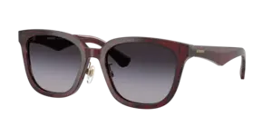 Burberry Sunglasses Grey Gradient