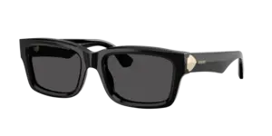 Burberry BURBERRY Oval Sunglasses Dark Grey