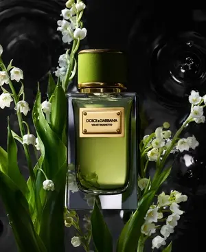 Dolce & Gabbana Velvet Mughetto Eau De Parfum - No Color