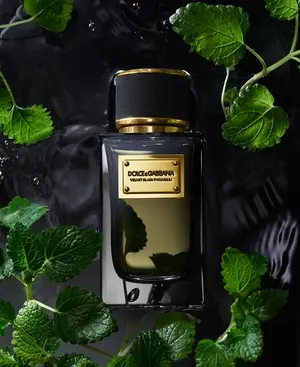 Dolce & Gabbana Velvet Black Patchouli Eau De Parfum - No Color