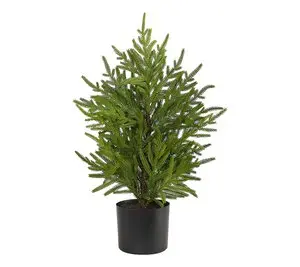 NEARLY NATURAL 2' Norfolk Island Pine 'natural Look' Tree