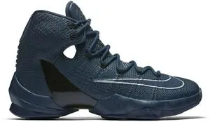 Nike Lebron Elite High-top Sneakers