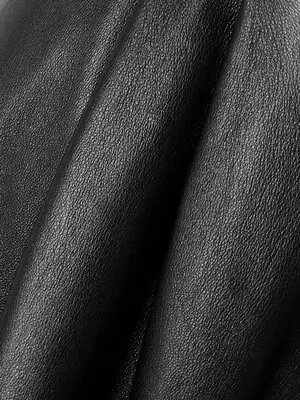 Magda Butrym Pleated Wide-leg Leather Pants