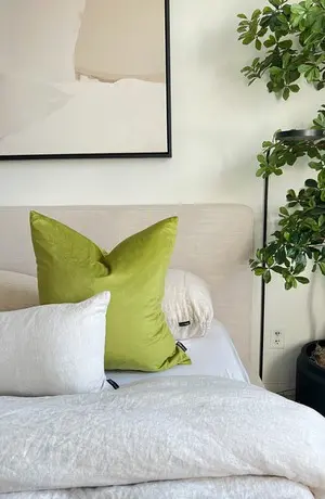 MODISH DECOR PILLOWS Velvet Pillow Cover