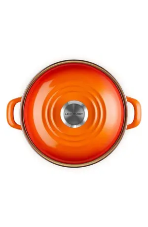 LE CREUSET Enameled Stainless Steel Petite Stock Pot - Flame