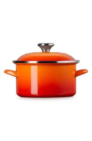 LE CREUSET Enameled Stainless Steel Petite Stock Pot - Flame