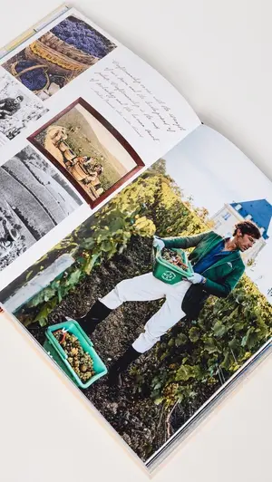 Assouline Wine & Travel France Book - Multi