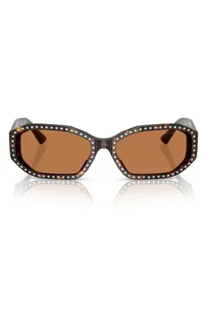 JIMMY CHOO 56mm Oval Sunglasses - Brown