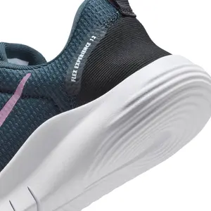 Nike Flex Experience Run Road Running Shoes