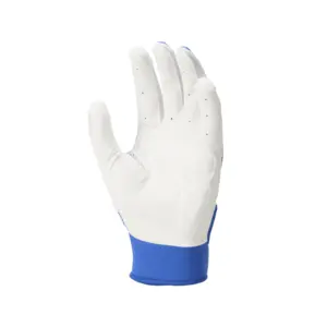 Nike Hyperdiamond Softball Gloves - Blue