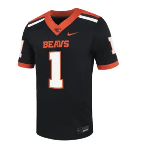 Nike Men's Dri-FIT NFL Apparel