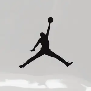 JORDAN Stadium Bag Clear