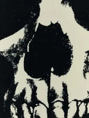 Alexander McQueen Skull-print Scarf - Black