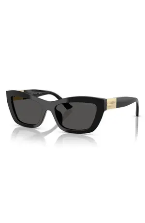 JIMMY CHOO 54mm Cat Eye Sunglasses